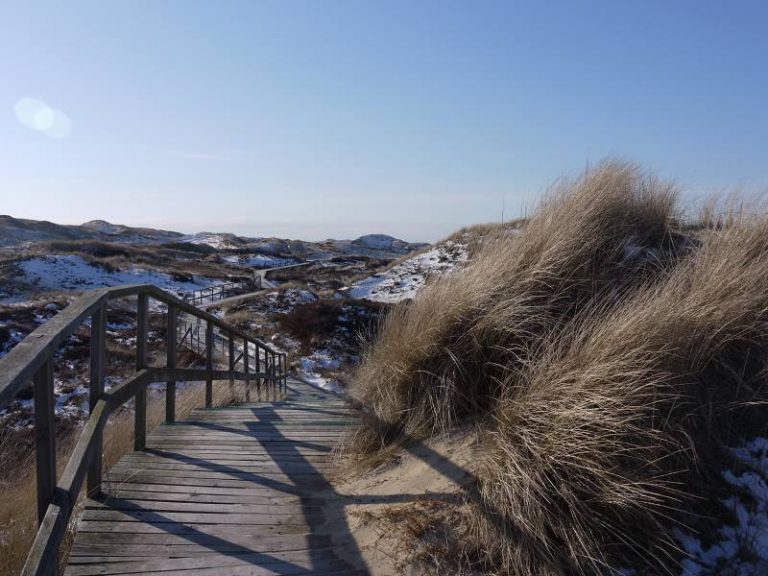 Amrum – die beste Insel für Slow Traveller | Nordfriesland