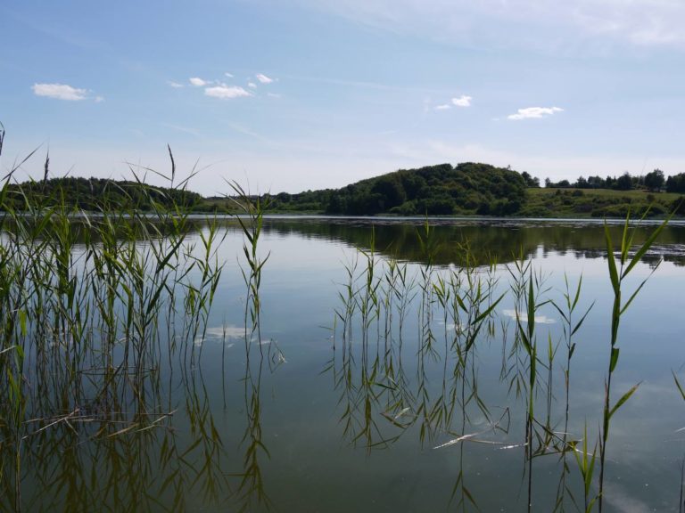 Schöne Tage am Limfjord im Norden Jütlands | Dänemark