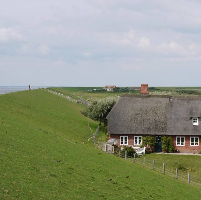 Ein Tag auf der Insel Pellworm | Urlaub in Nordfriesland